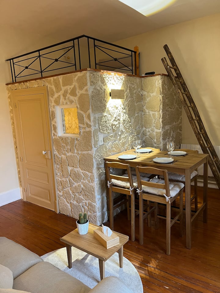 Logement Cosy à 200 Mètres Des Thermes - Vittel