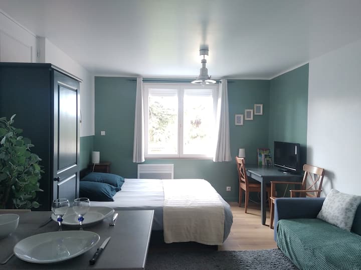 Studio Meublé Indépendant Chez L'habitant - La Roche-sur-Yon