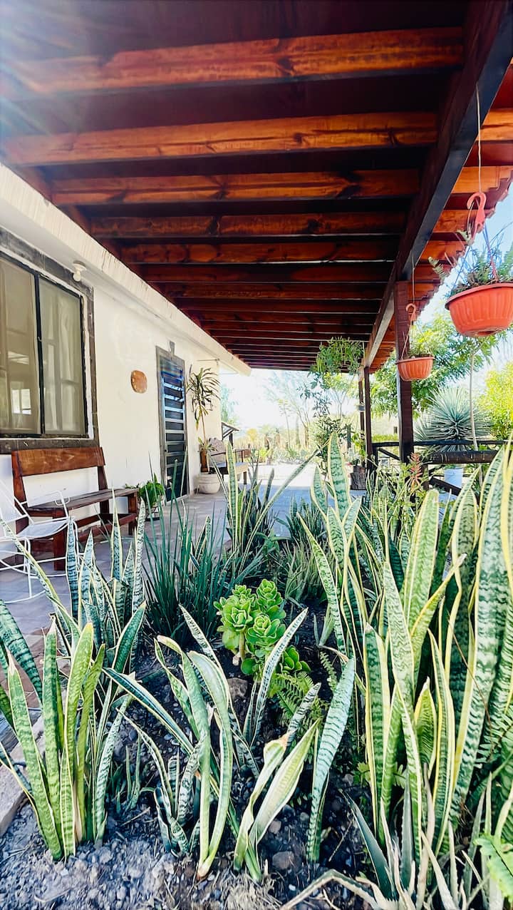 Cabaña “Campestre Los Cipreses” - Coahuila