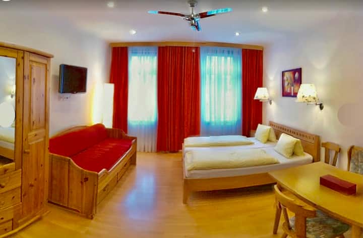 Apartment Studio 2 Incl. Car Parking & Wifi - Vienne