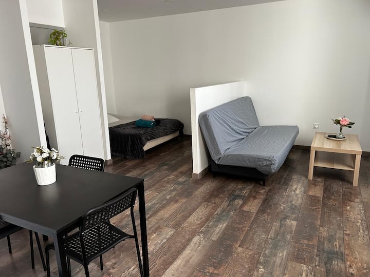 Studio 30 M2 - Cellieu
