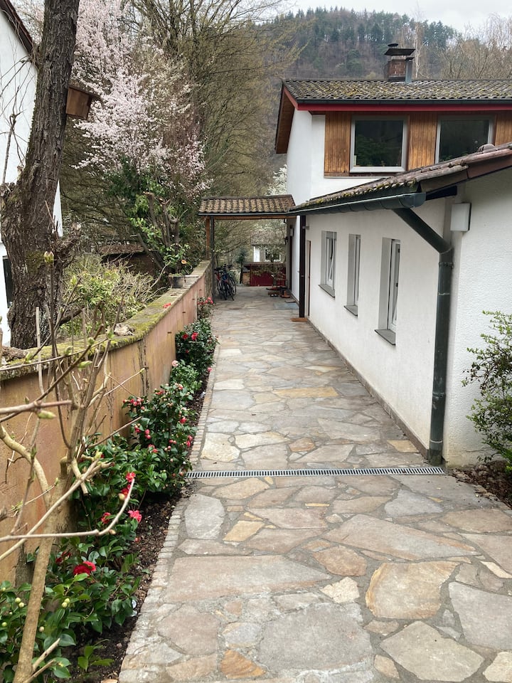 Ruhige Wohnung Im Grünen In Heidelberg - Heidelberg