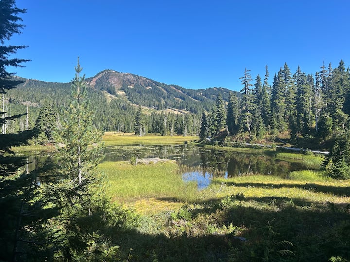 Mount Washington Condo For All Seasons Adventure - Mount Washington