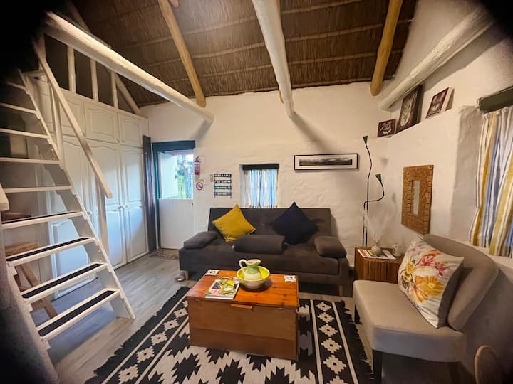 Tiny Home Living In The Cutest Mouse House 🐭 - Greyton