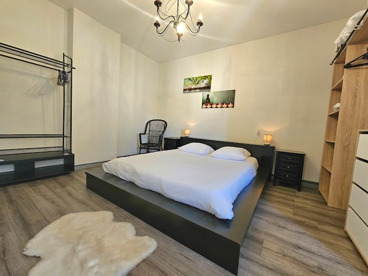 Le Boulevard, Appartement Près Du Centre De Roanne - Mably