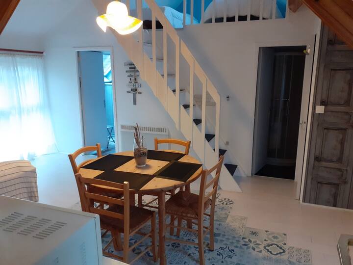 Appartement En Duplex Proche Mer - Saint-Malo