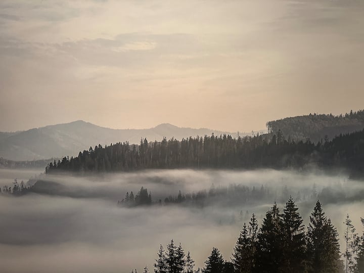 Harzer Nest - Moderne Fewo Mit Terrasse Und Parkpl - Harz