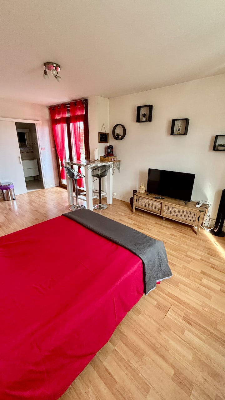 Béziers Studio Rdc Parking Gratuit Et Wifi - Béziers