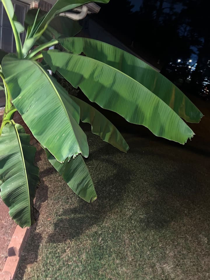 Novas Zen Home. - Lawrenceville, GA