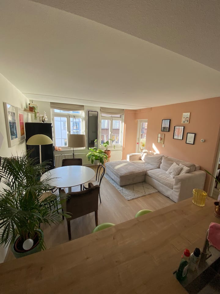 Ruim En Licht Appartement Met Zonnig Balkon! - Amsterdam