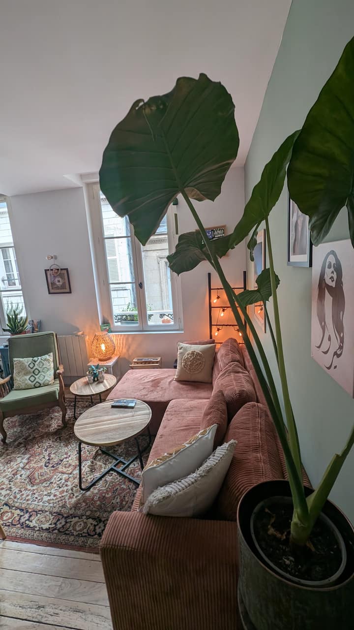 Appartement Hypercentre Cozy - Compiègne