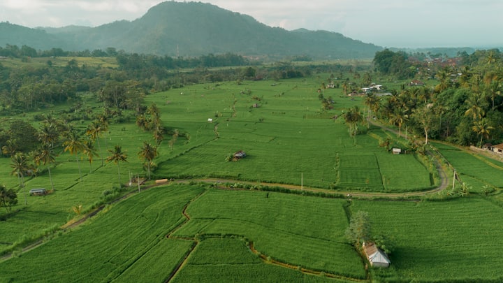 Beautiful Room Garden Dan Hills View With Terrace - Sidemen