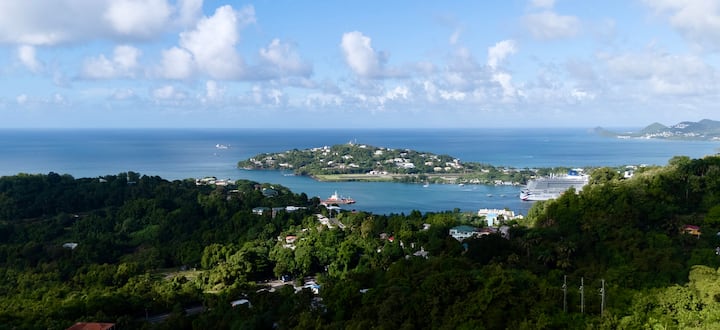 Whale Watching /Ac/2minsto Castries&ferry - Sainte-Lucie
