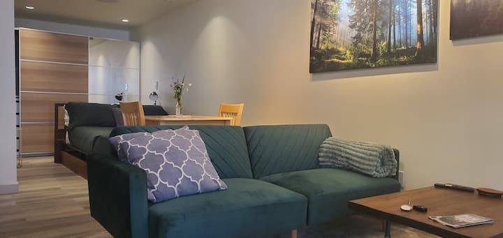 Studio Retreat By Ferries, Airport W/ Green Space. - Sidney