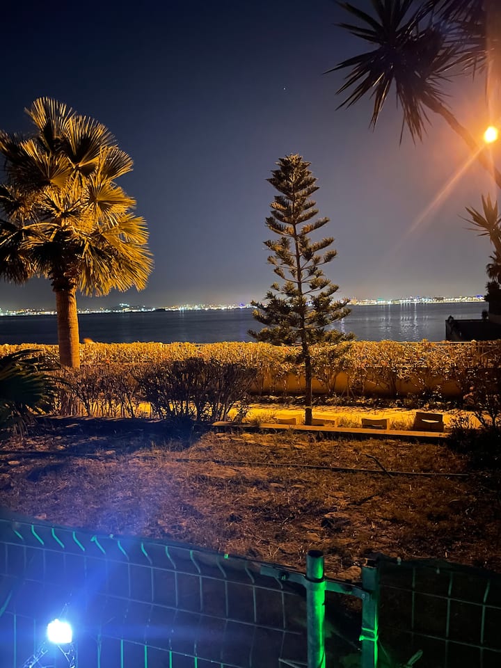 Apprécier La Nature Dans Un Coin Convivial - Tunis