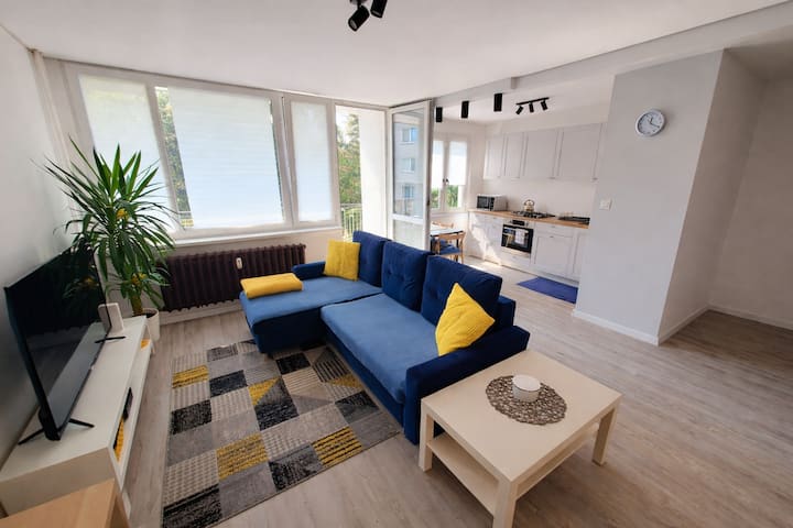 Apartament Ligocka 50m2 Katowice. - Katowice