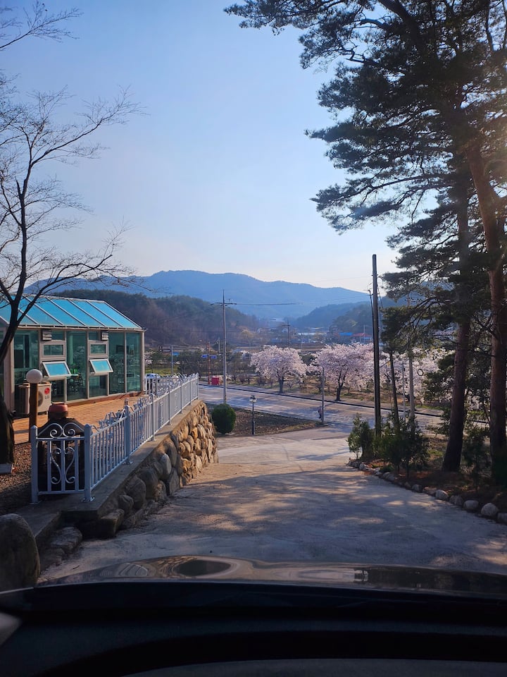 "펜션 바로 앞에서 만나는 핑크빛 로맨틱 뷰" 통유리바베큐장에성만끽하세요 봄내음이나는 곳 - Gangneung-si