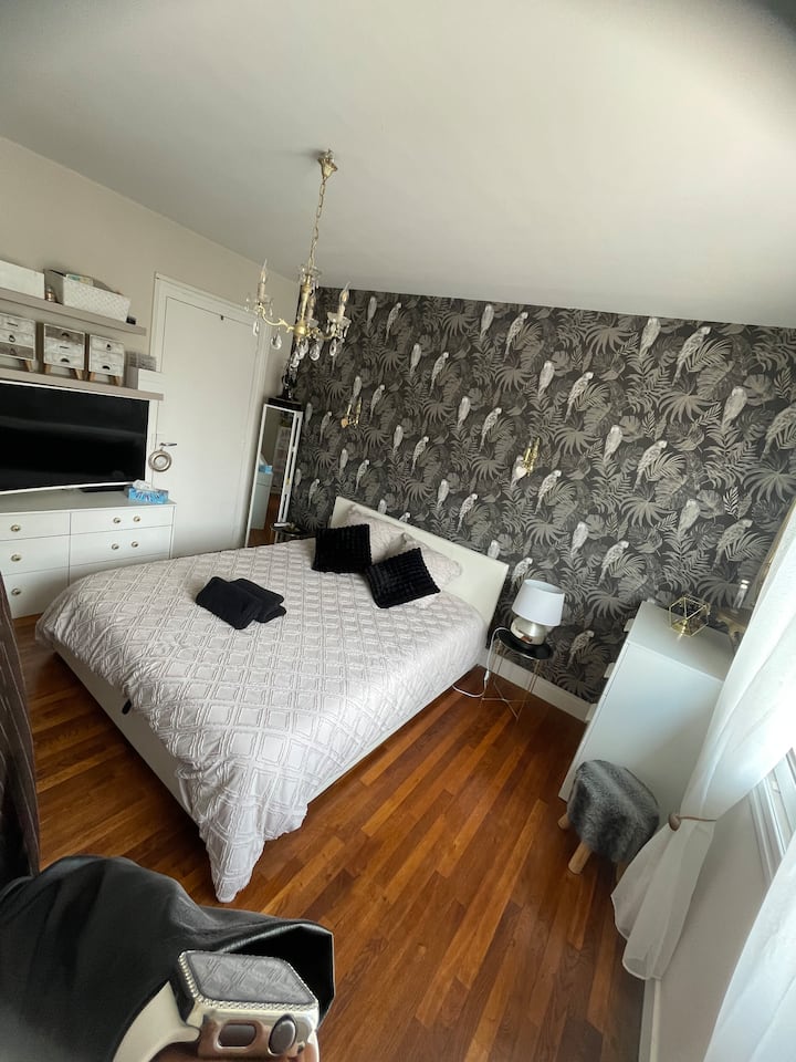 Grande Chambre Cosy Chez L Habitant - Le Mans