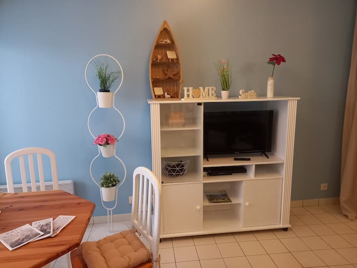 Bel Appartement  Hyper Centre  Parking Terrasse - Cap Ferret