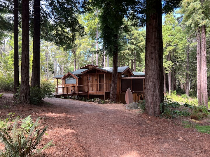 Mendocino Redwoods Cabin W/ Trail To Stream - Van Damme State Park, Little River