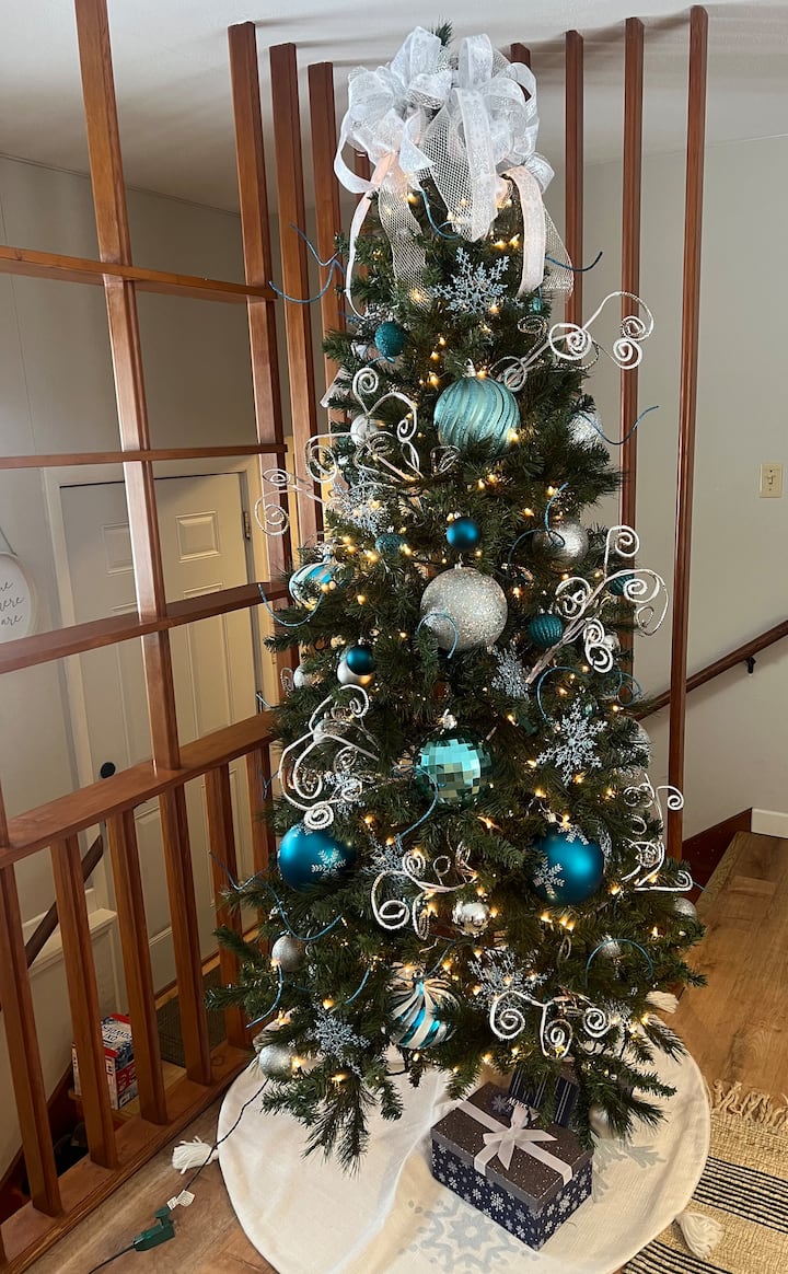 Mid Century Modern Midtown - Centrally Located - Sioux Falls, SD