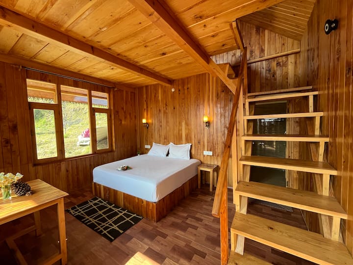 Jalori View Log House Jibhi - Jibhi