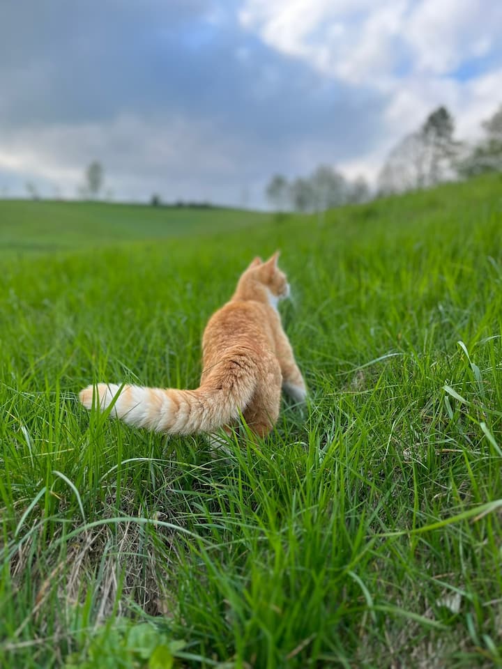 Ferienwohnung „Am Gnaucks Hutberg“ - Hohnstein