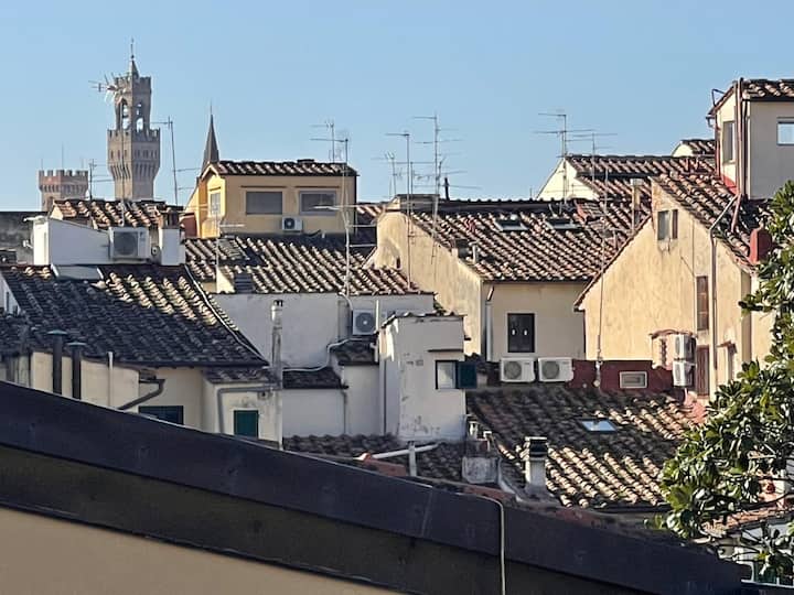 A Firenze, Centro Storico, Tra Tetti E Giardini - Florencia