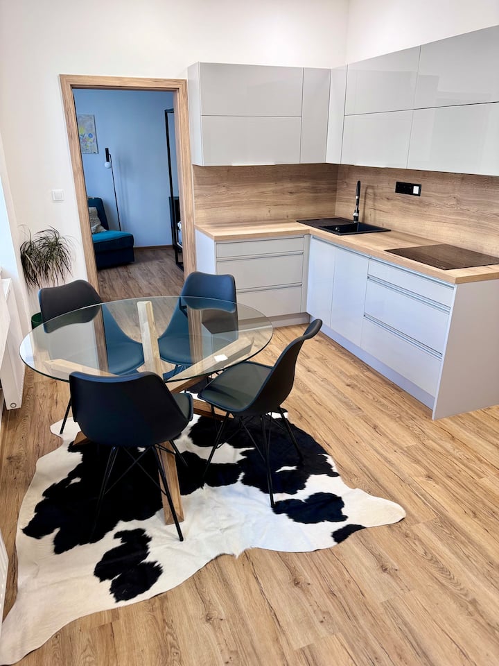 Sušilova 14 Apartments I. - Přerov