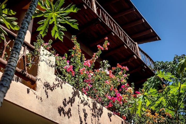 Casa Linda - First Floor 1 Bed Seaside Apartment. - Zihuatanejo