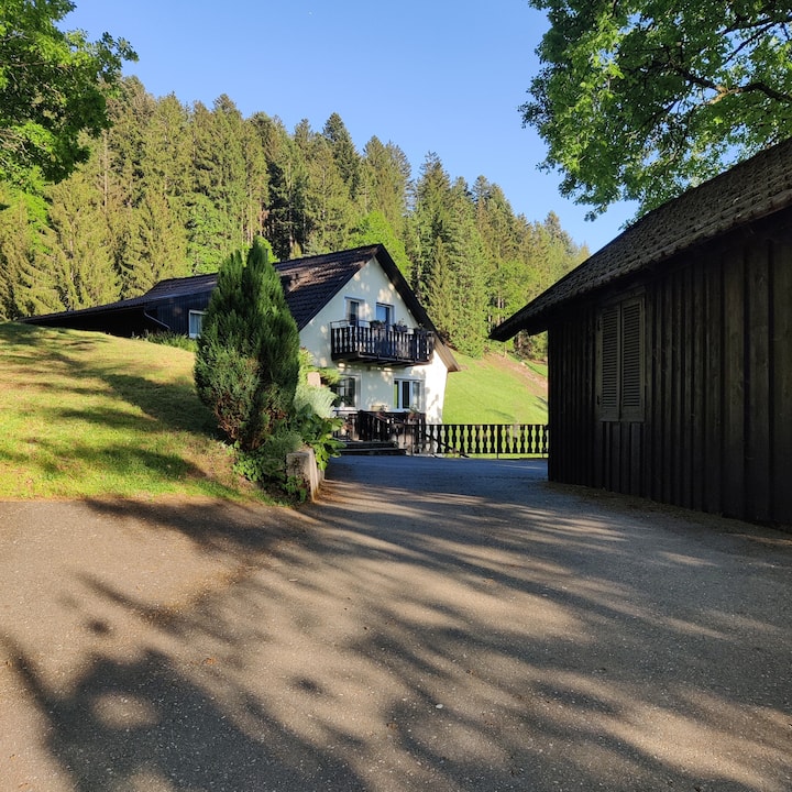 Idyllische Ferienwohnung Im Schwarzwald - Schiltach