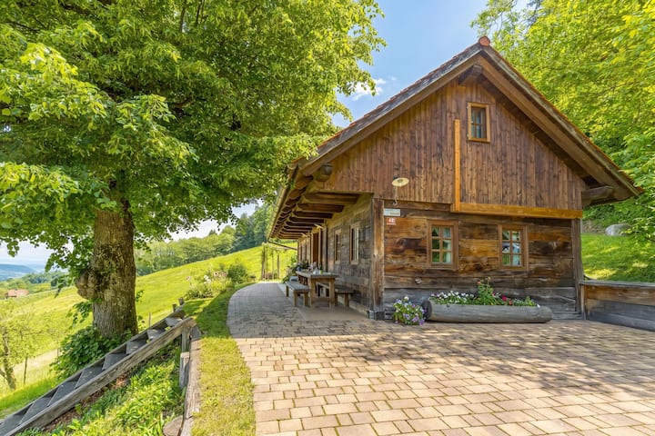 Oldhouse Knezovo With Private Garden - Slovenië
