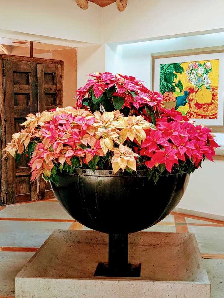 Hotel Boutique Finquita “El Milagro” - Cuernavaca