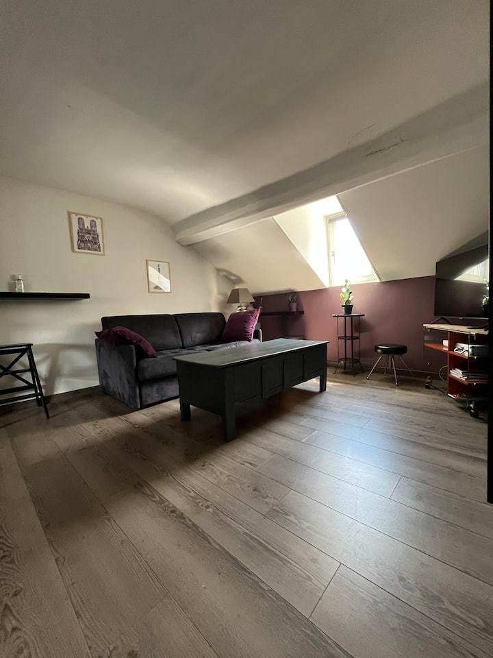 Appartement Proche Cathédrale - Reims