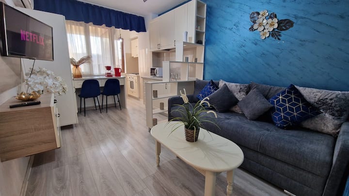 Elyse Comfortable Apartment Close To Palas Mall - Iași