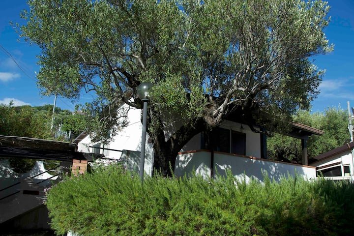 Casa Maestrale - Case Vacanza Brezza Di Mare - Centola