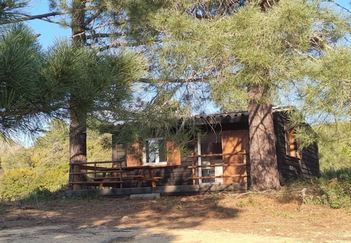 La Cabane - Une Expérience Dans Le Maquis - Corsica