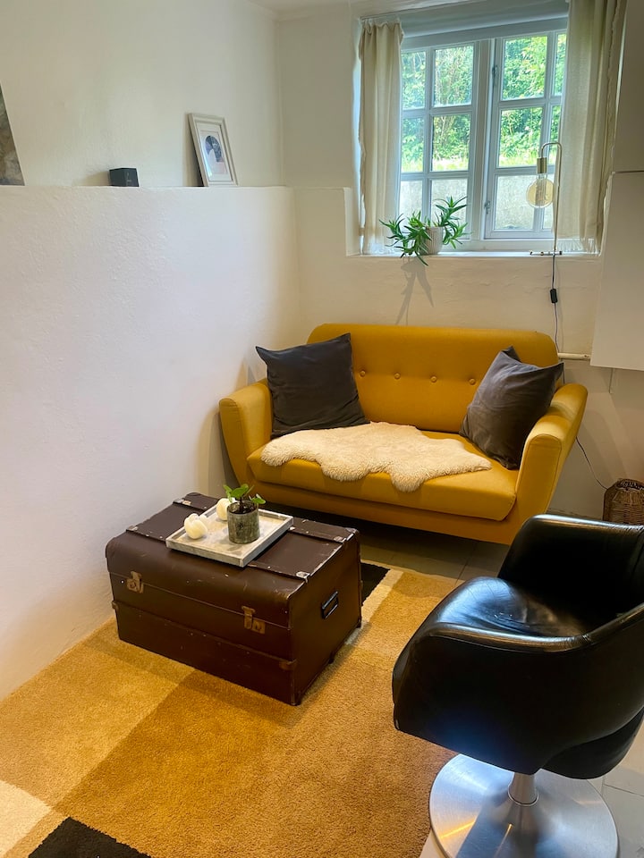 Nice Apartment With Free Parking - Aéroport de Copenhague (CPH)