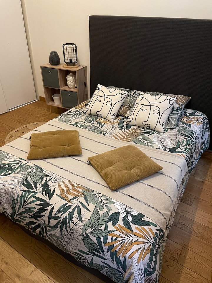 Toulouse Hypercentre : Superbe Appartement - Toulouse