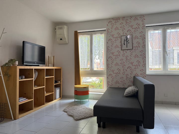 Apt Lumineux/quartier Calme/parking Privé - Lambersart