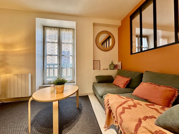 Le Cabrol • Grand Studio • Hyper Centre • Wifi - Rodez