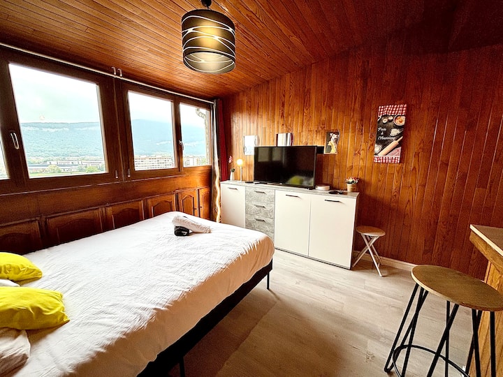 Studio, Mezzanine, Style Chalet, Proche Centre - Annemasse