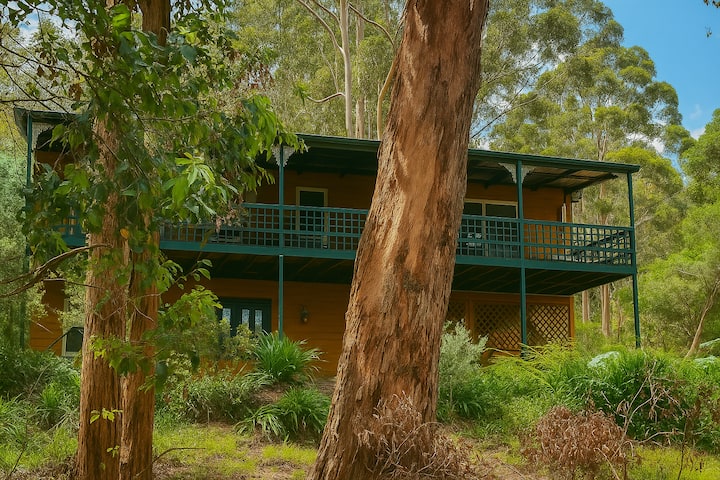 Relax Among The Trees With Family & Friends - Ocean Beach