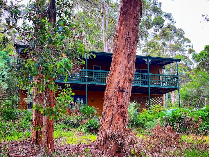 A Perfect Tree House: Wifi, Netflix, Disney - Ocean Beach