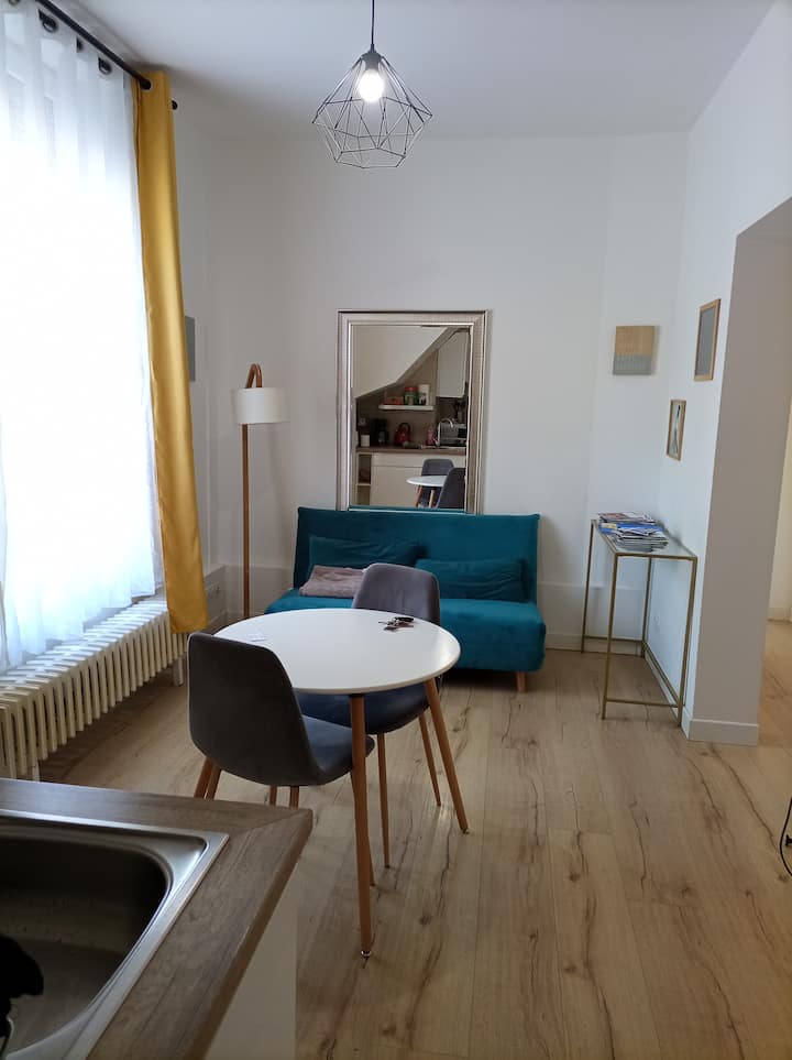 Superbe Duplex En Rdc Avec Parking Privé Sécurisé - Charleville-Mézières