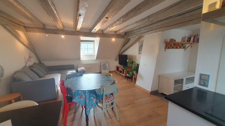 Mon P'tit Nid
T3 Duplex (2 à 6 Personnes) - Strasbourg