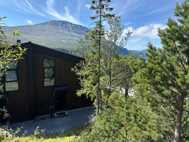 Ny Hytte Med Fantastisk Utsikt Til Gaustatoppen - Norway