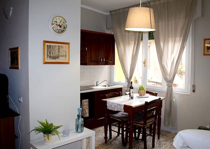 Il Bargello 
Central Apartament - Pisa, Italia