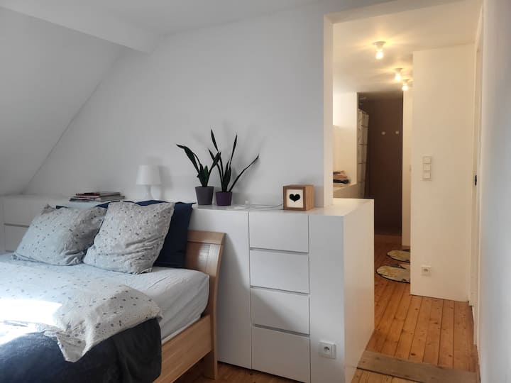 Gezellige Kamer In Een Rustig Deel Van Antwerpen - Antwerp