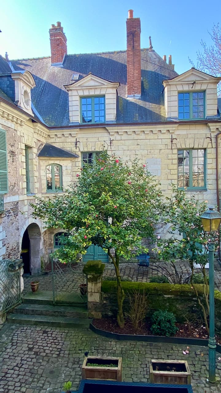 Appart T2 Hôtel Particulier Du Xvii Centre-ville - Angers